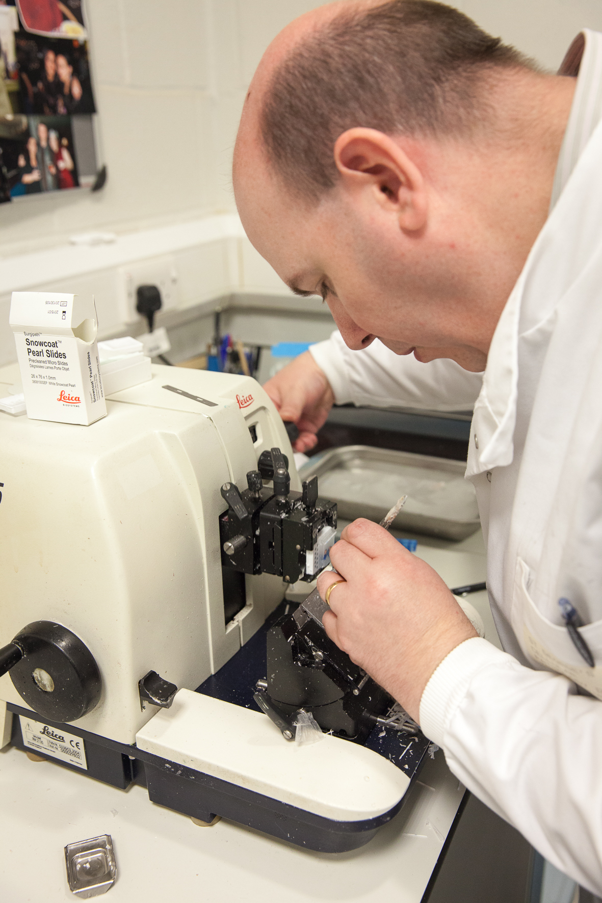 Cellular pathology - St George's University Hospitals NHS Foundation Trust