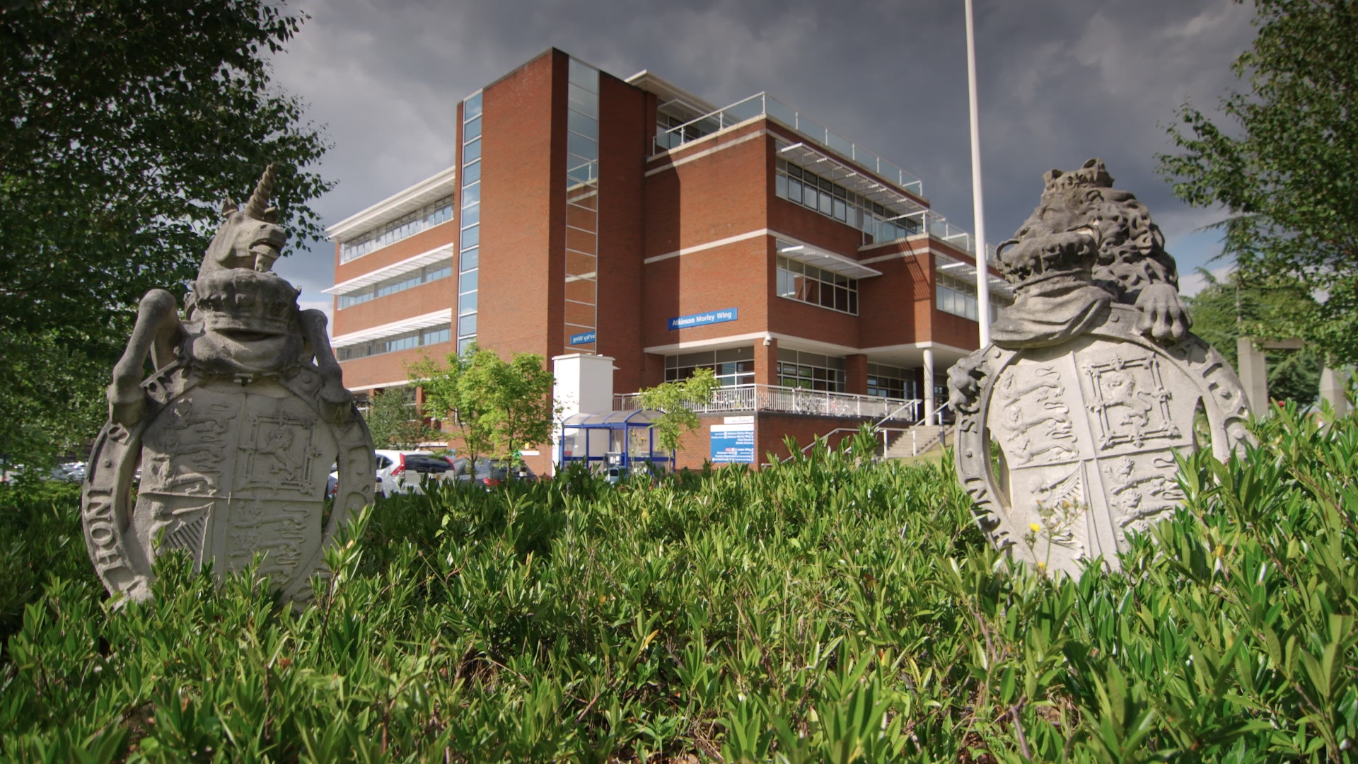 Suspension of urogynaecology sub-specialty service at St George’s - St ...