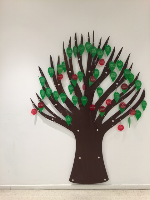 The Tree of Life - why organ donation matters - St George's University ...