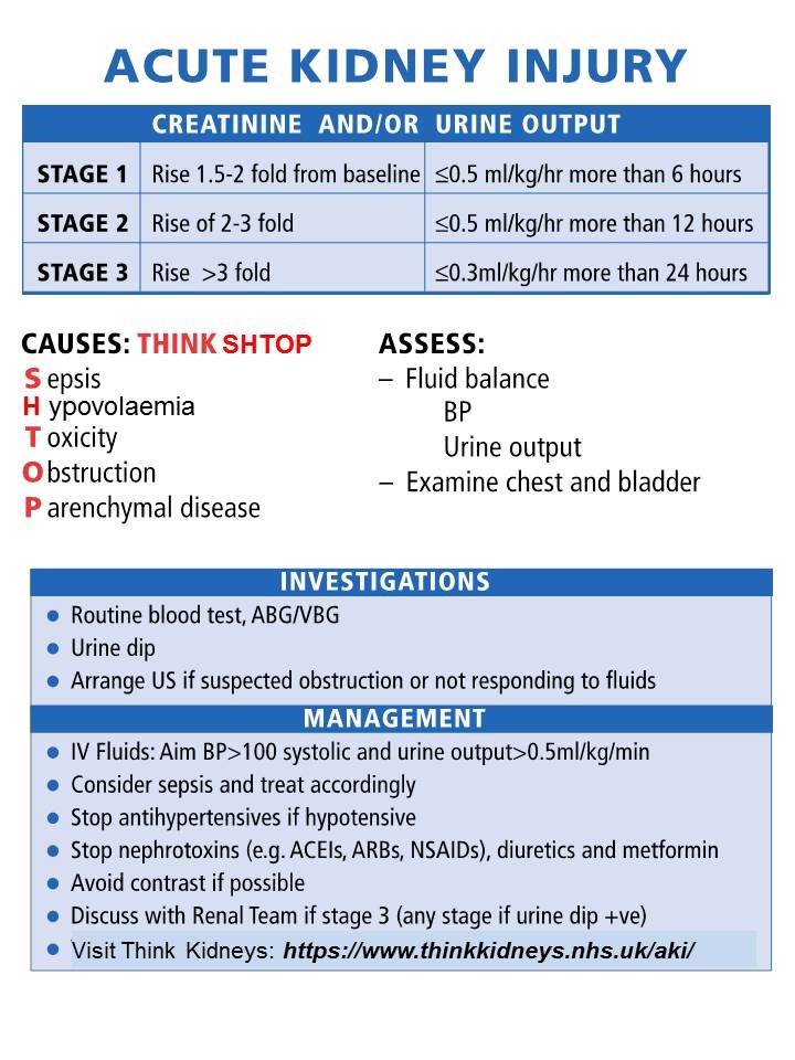 Acute Kidney Injury Classification Diagnosis And Mana Vrogue co Acute Kidney Injury Classification Diagnosis And Mana Vrogue co