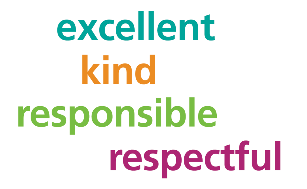 Living Our Values - St George's University Hospitals NHS Foundation Trust