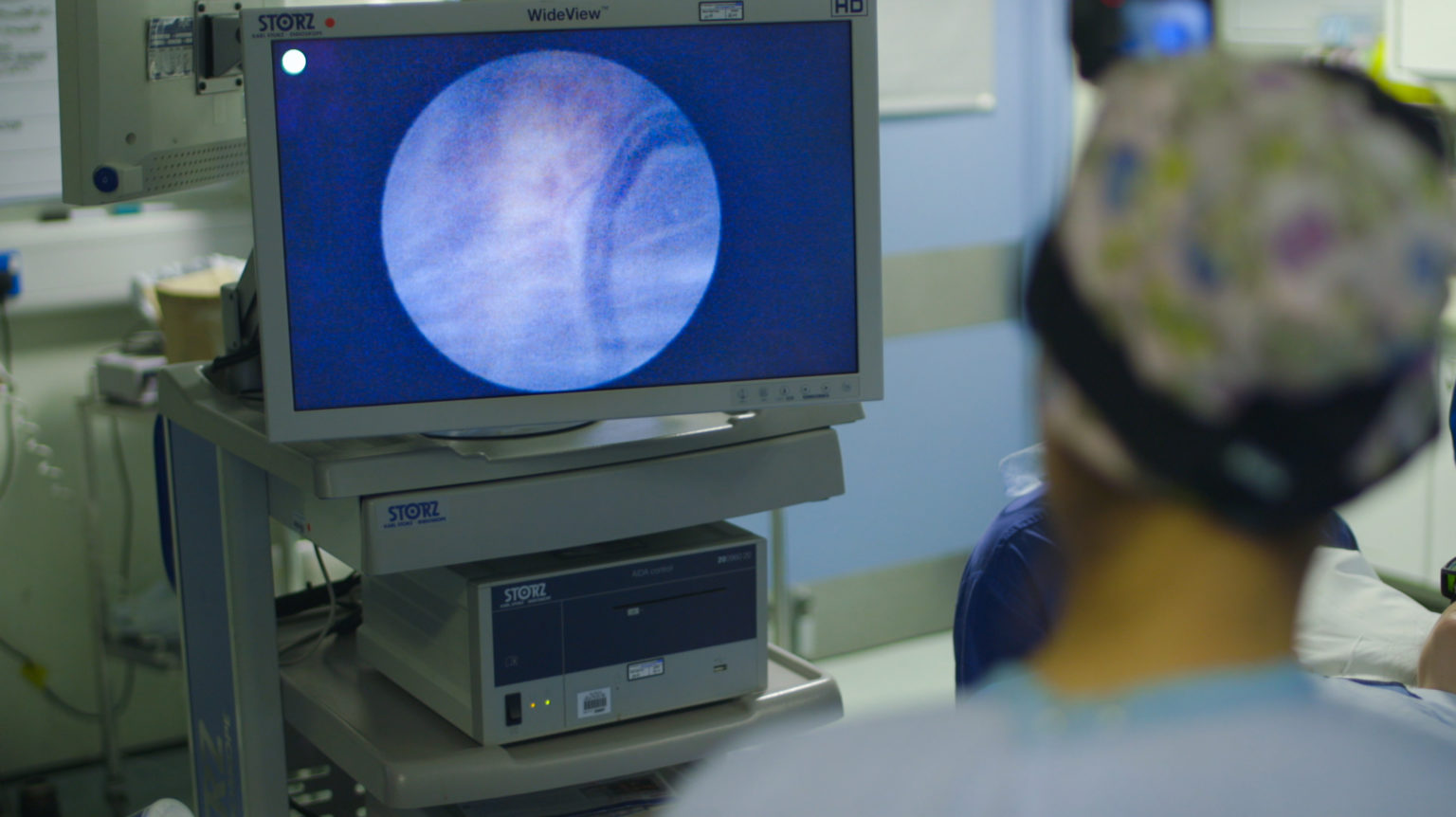 St George’s raises awareness on TAPS Day - St George's University ...